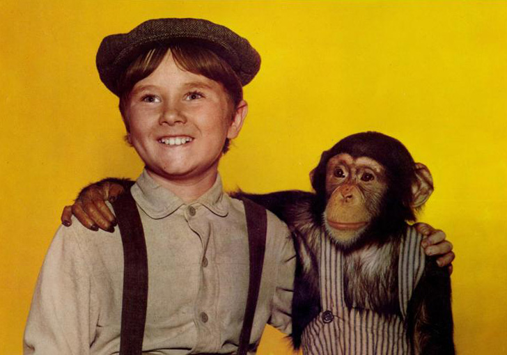 Family Flicks Film Series: Toby Tyler - Hammer Museum