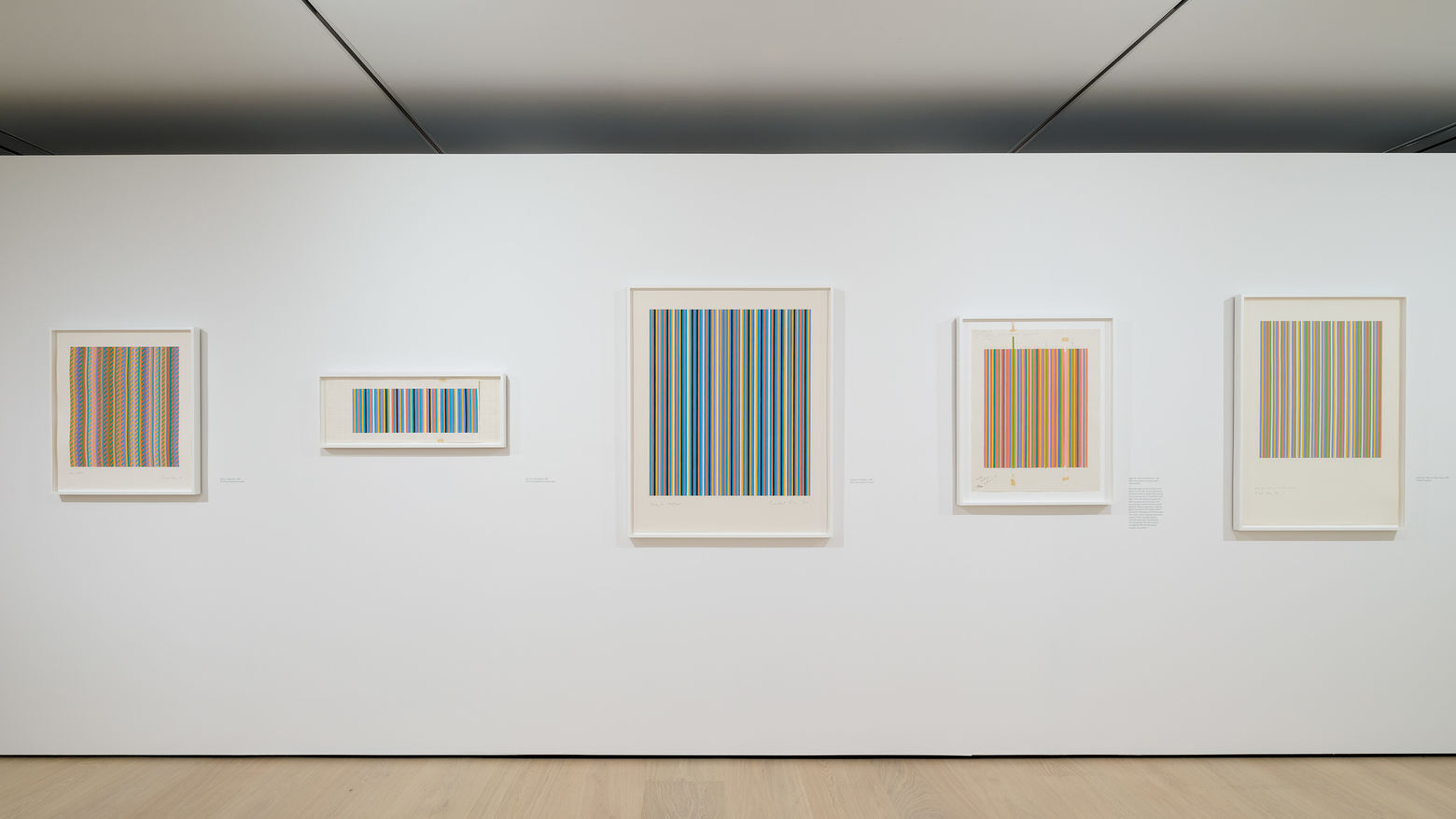 Curator Walk-through: Bridget Riley | Hammer Museum