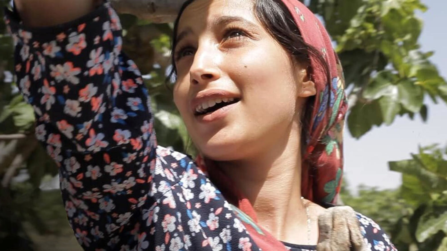 Food and Film: Farming | Hammer Museum