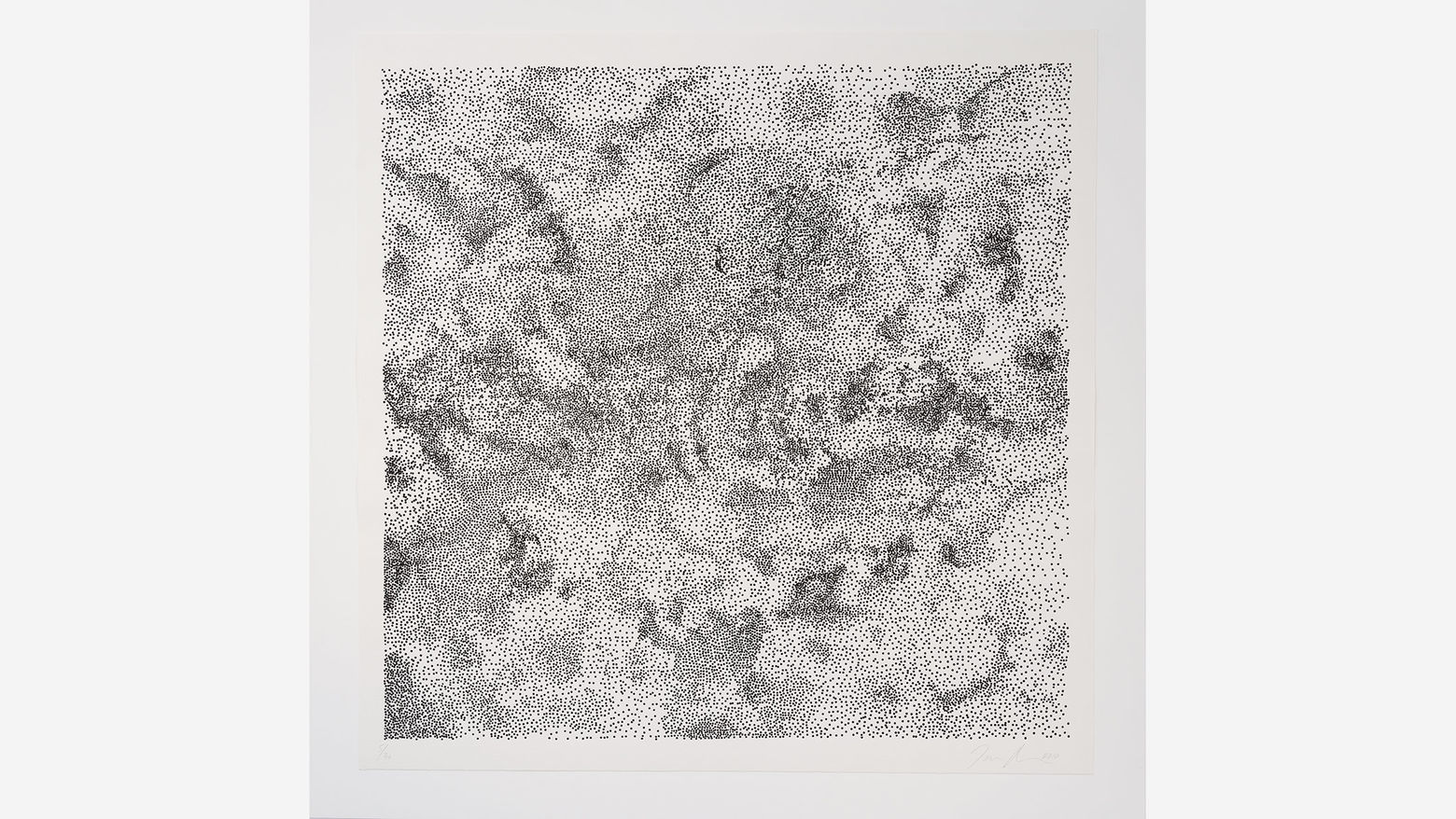 Lunchtime Art Talk on Tara Donovan | Hammer Museum