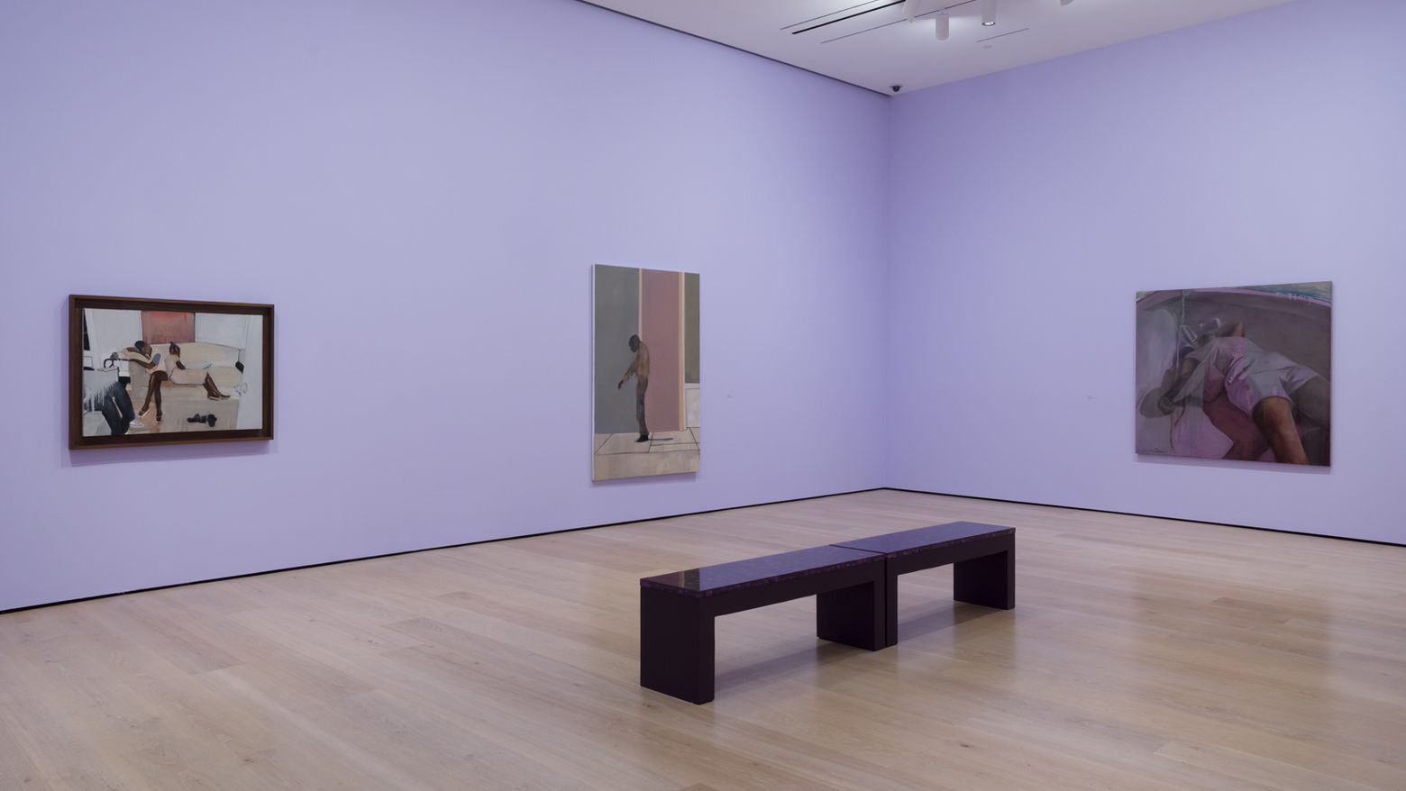 After-Hours Tour: Daniel DeSure on Noah Davis | Hammer Museum
