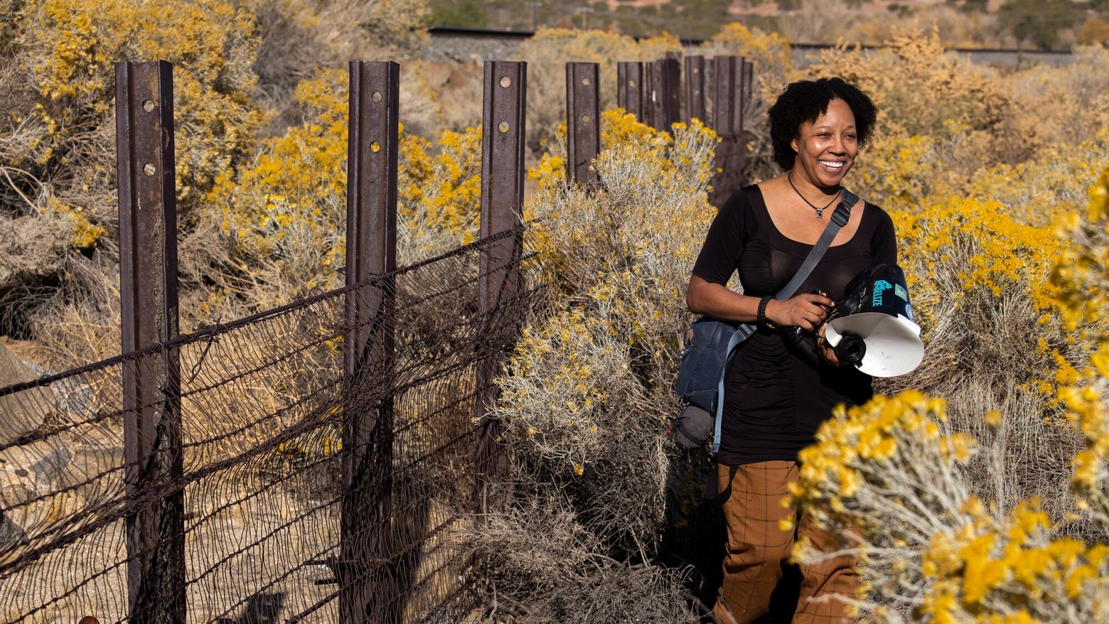 Plant It and They Will Come: Supporting California's 1,600 Native Bees ...
