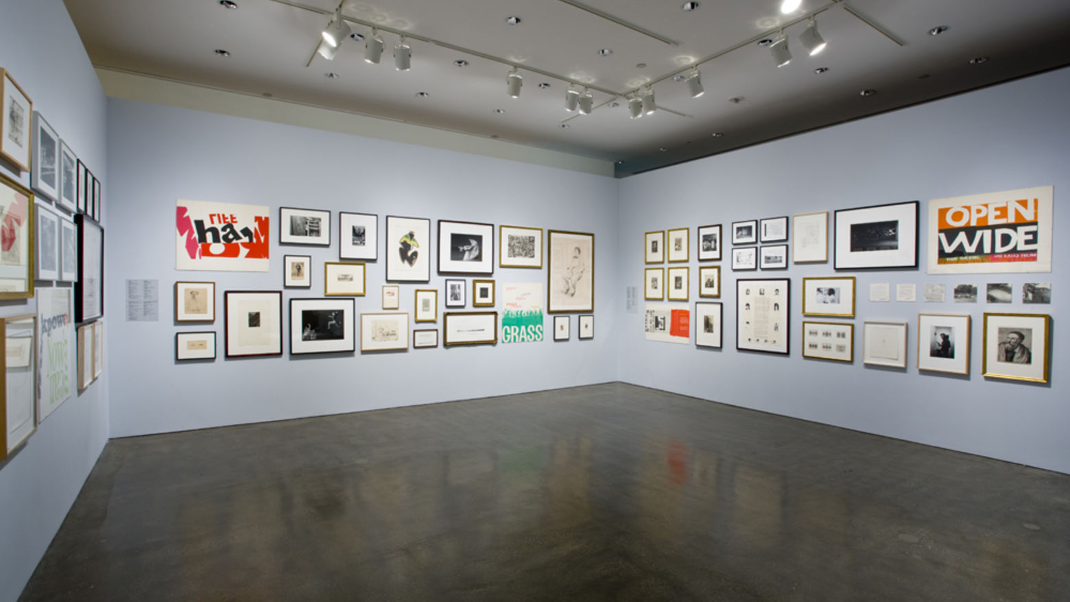 Creating a Museum Collection | Hammer Museum