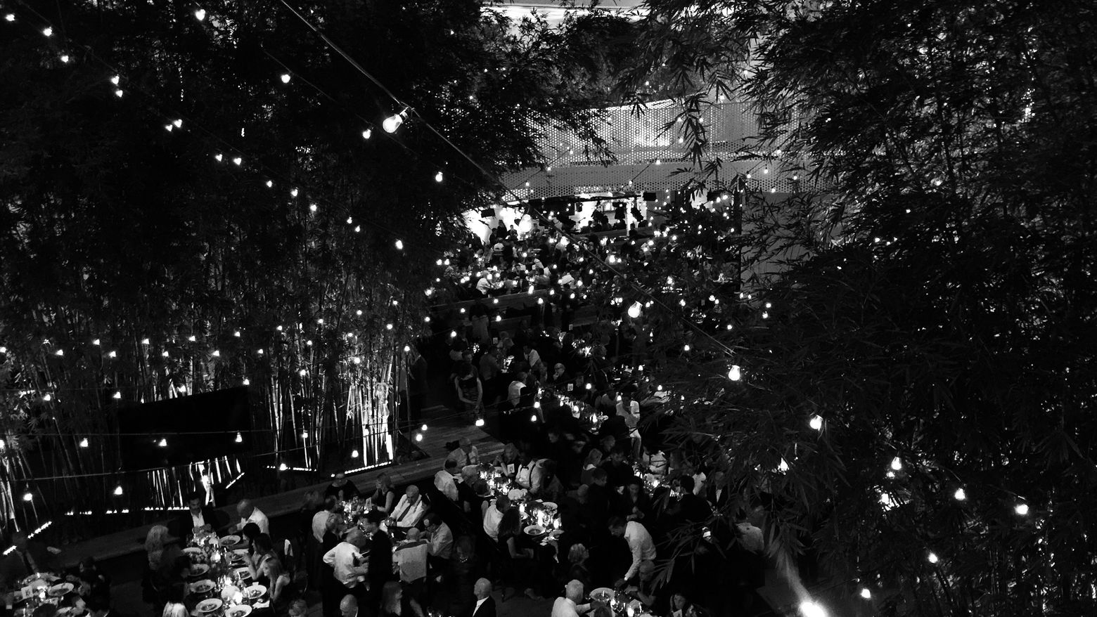 viktor hammer wedding