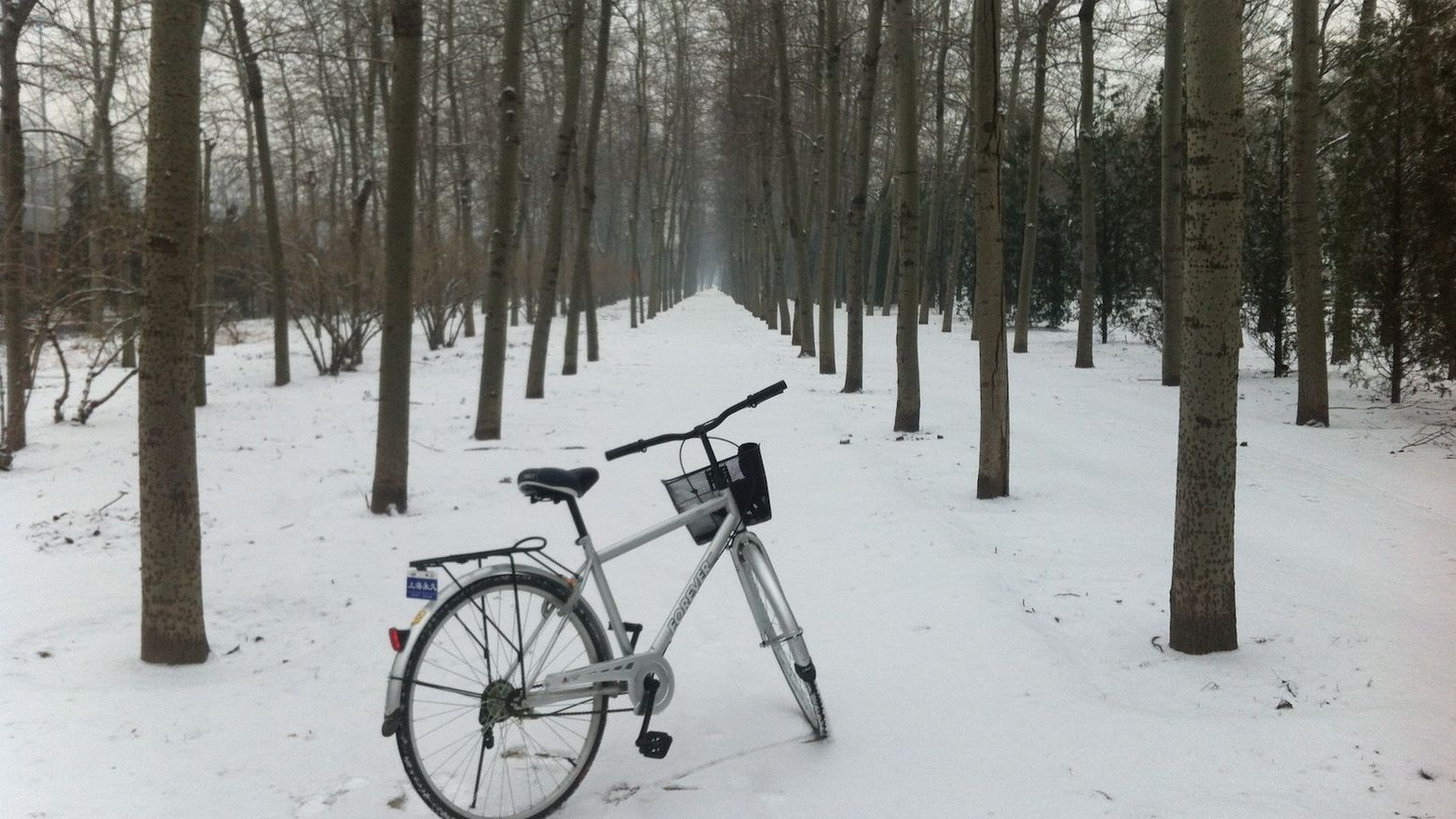 Universal Man: Snowman | Hammer Museum