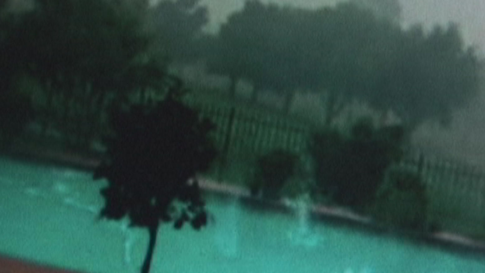 3 Questions with Harry Dodge | Hammer Museum