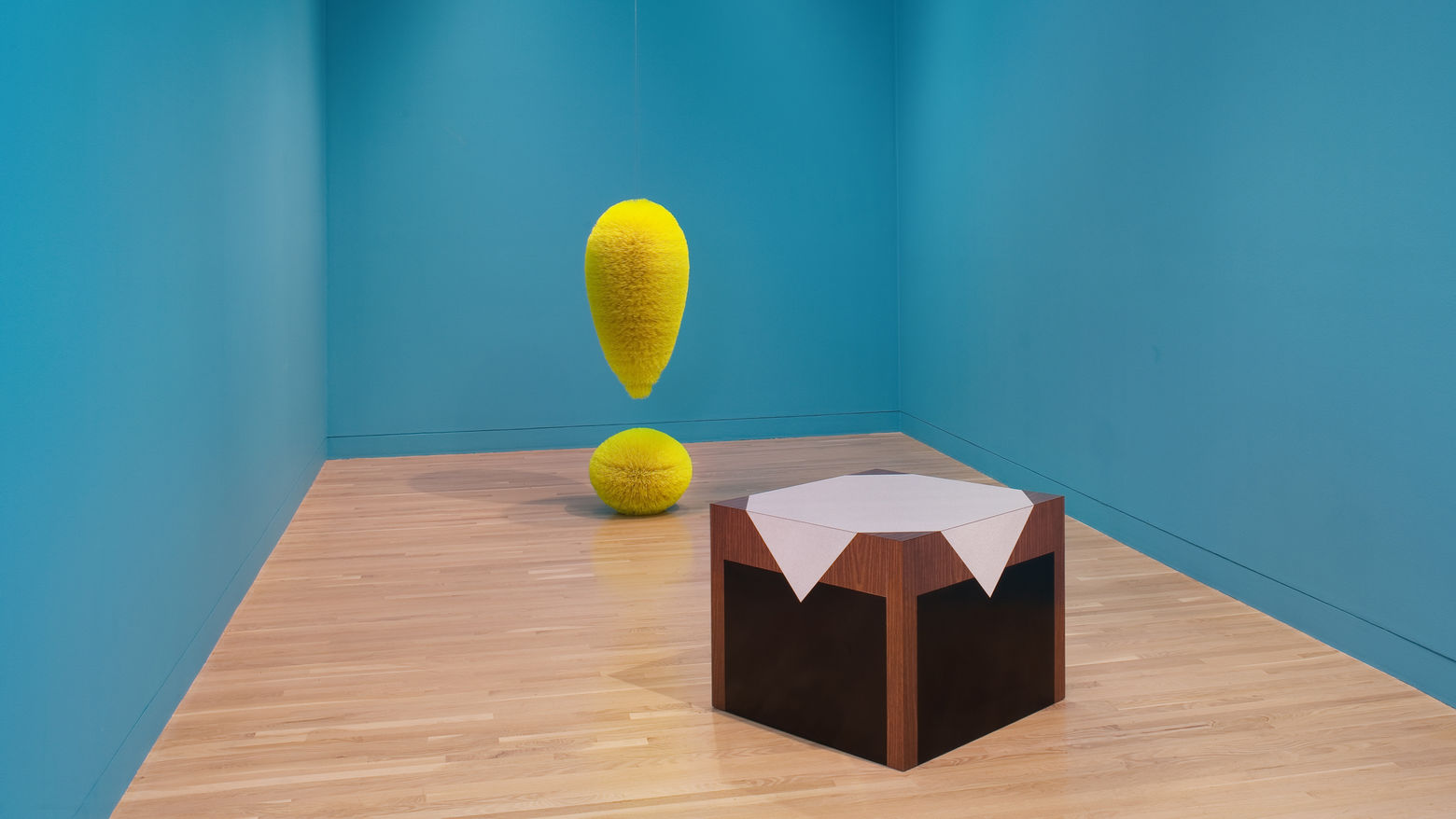 Flash Talk: Scott Flax | Hammer Museum