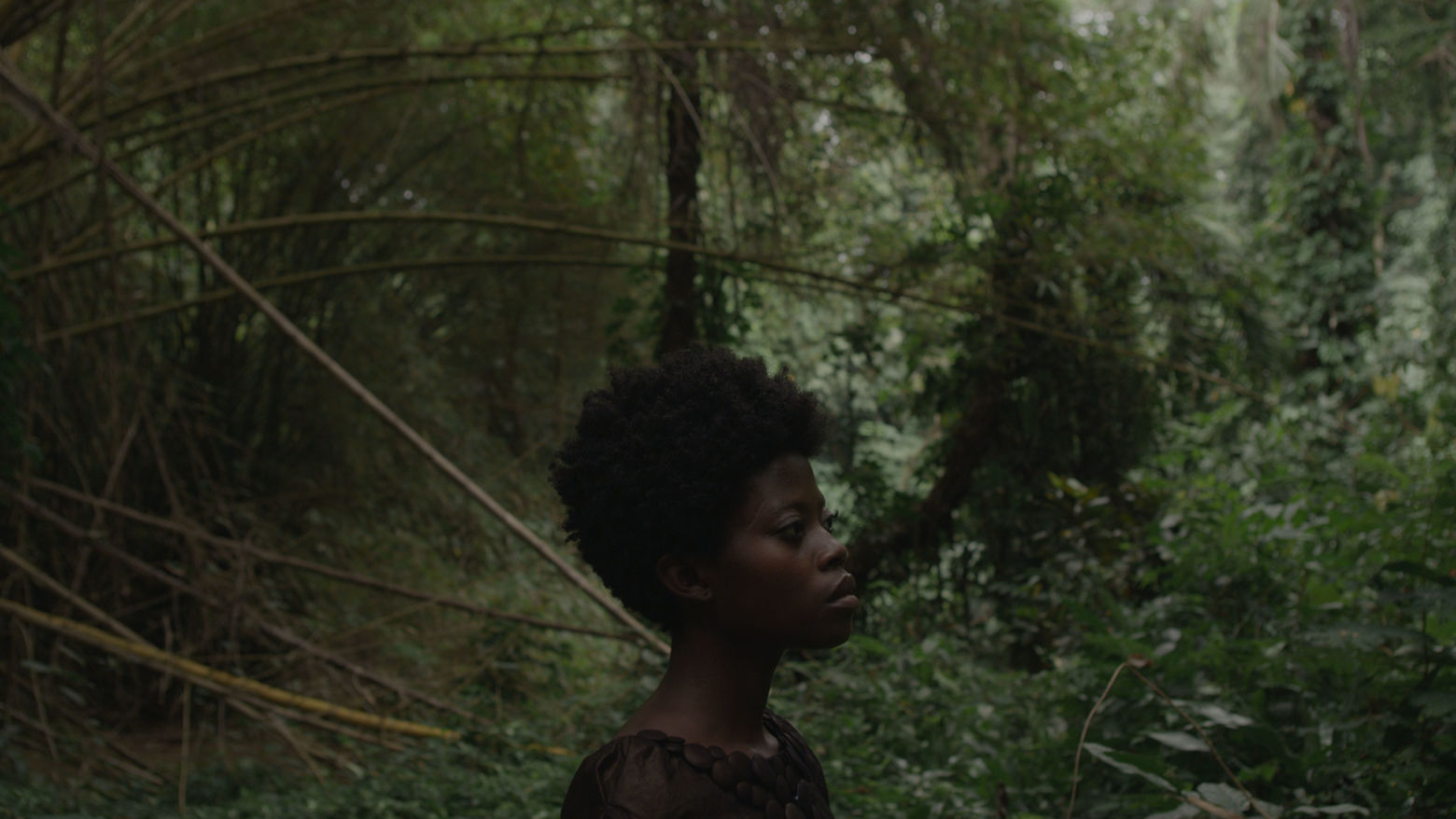 Off-Site Program: In Conversation: Njideka Akunyili Crosby and Akosua ...