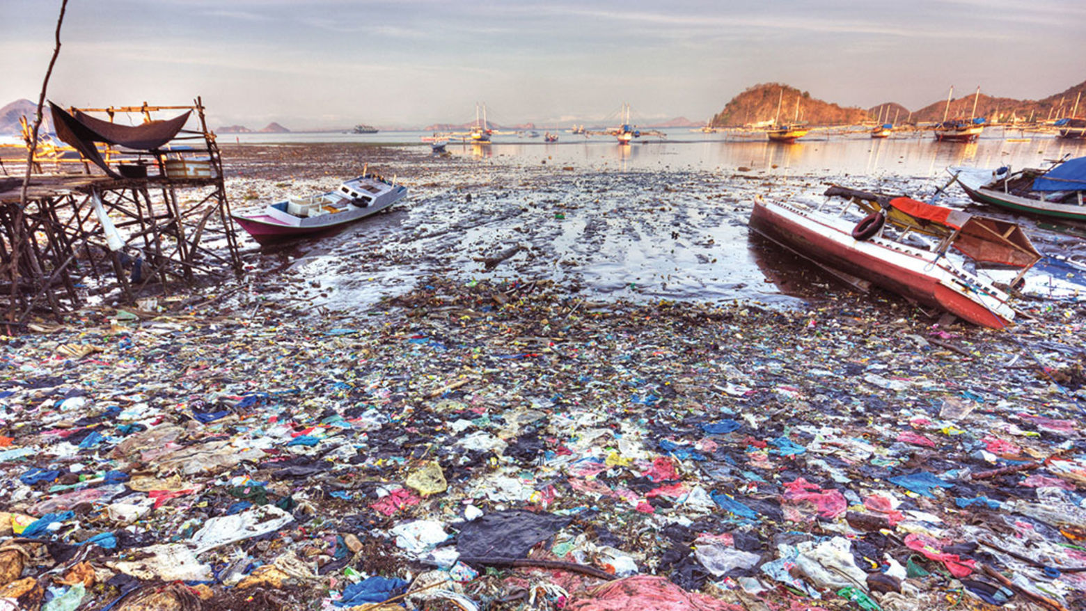 Ocean Plastic Pollution | Hammer Museum